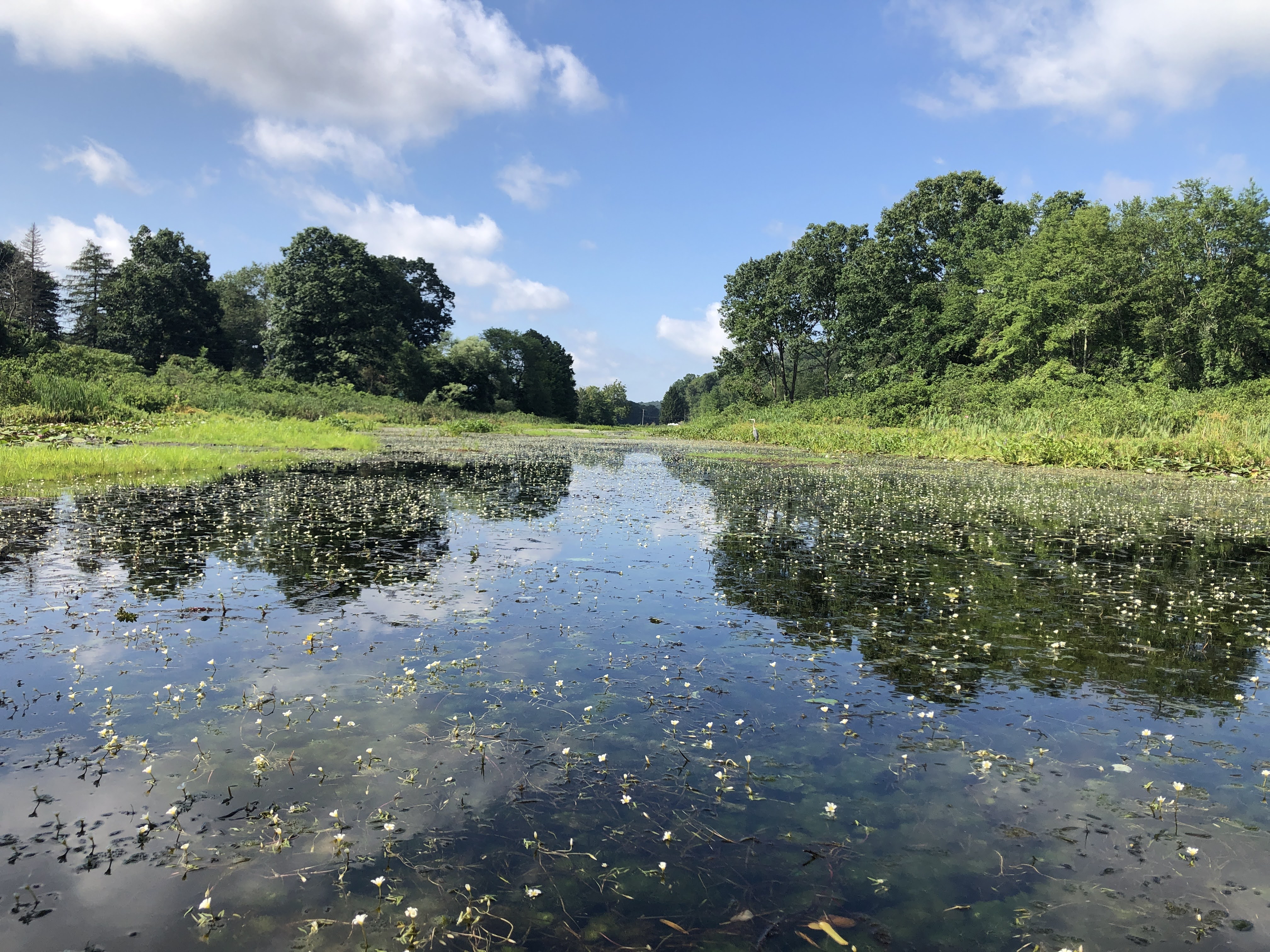 Lake Quonnipaug 2020