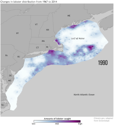 Trends Under the (Rising) Surface