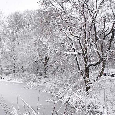 Historic Preservation