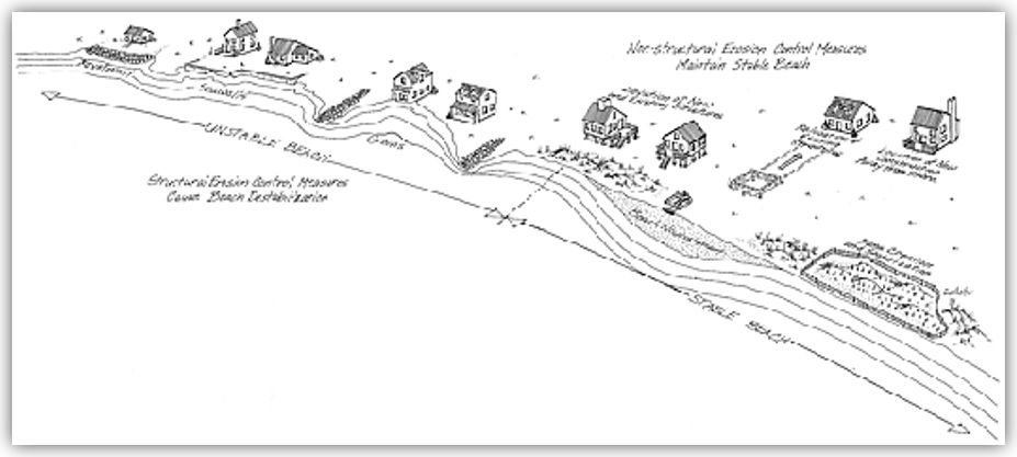 Shoreline Protection