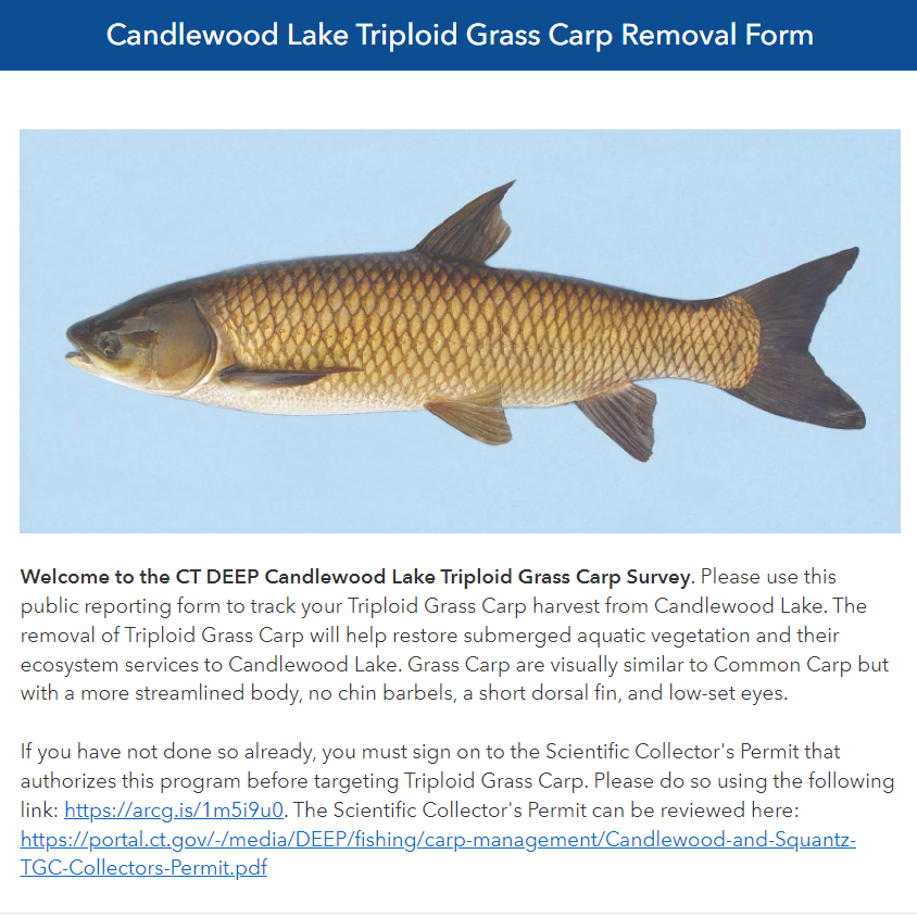 Triploid Grass Carp Removal from Candlewood Lake and Squantz Pond