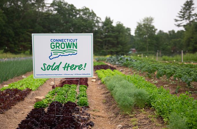 Farmers Market Nutrition Program