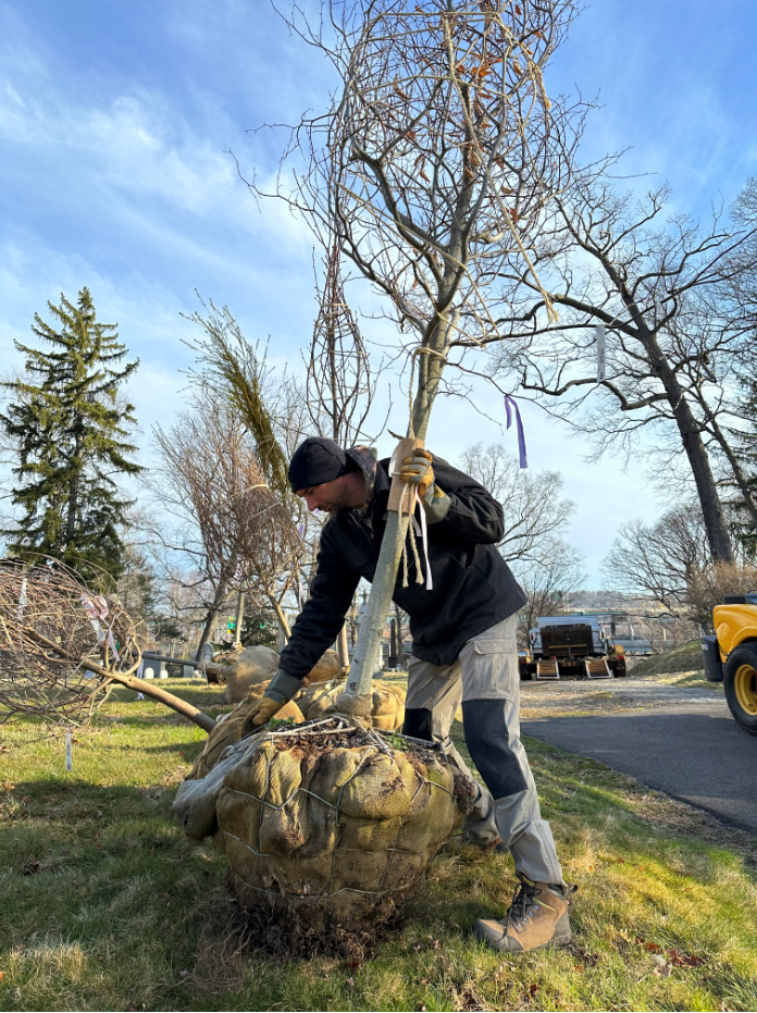 Urban Forestry Grant Accomplishments