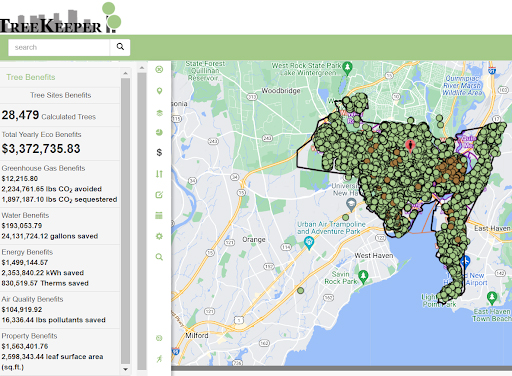 Urban Forestry Grant Accomplishments