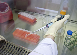 Forensic Science Laboratory