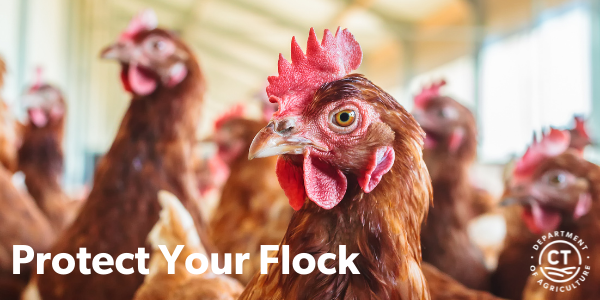 Avian Influenza Information